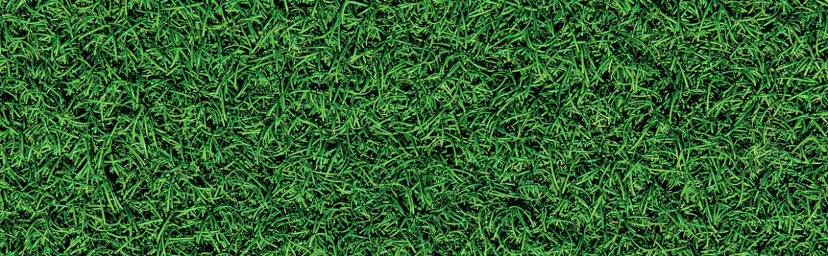 bg-grass – Frattallone’s Hardware Stores and Garden Centers